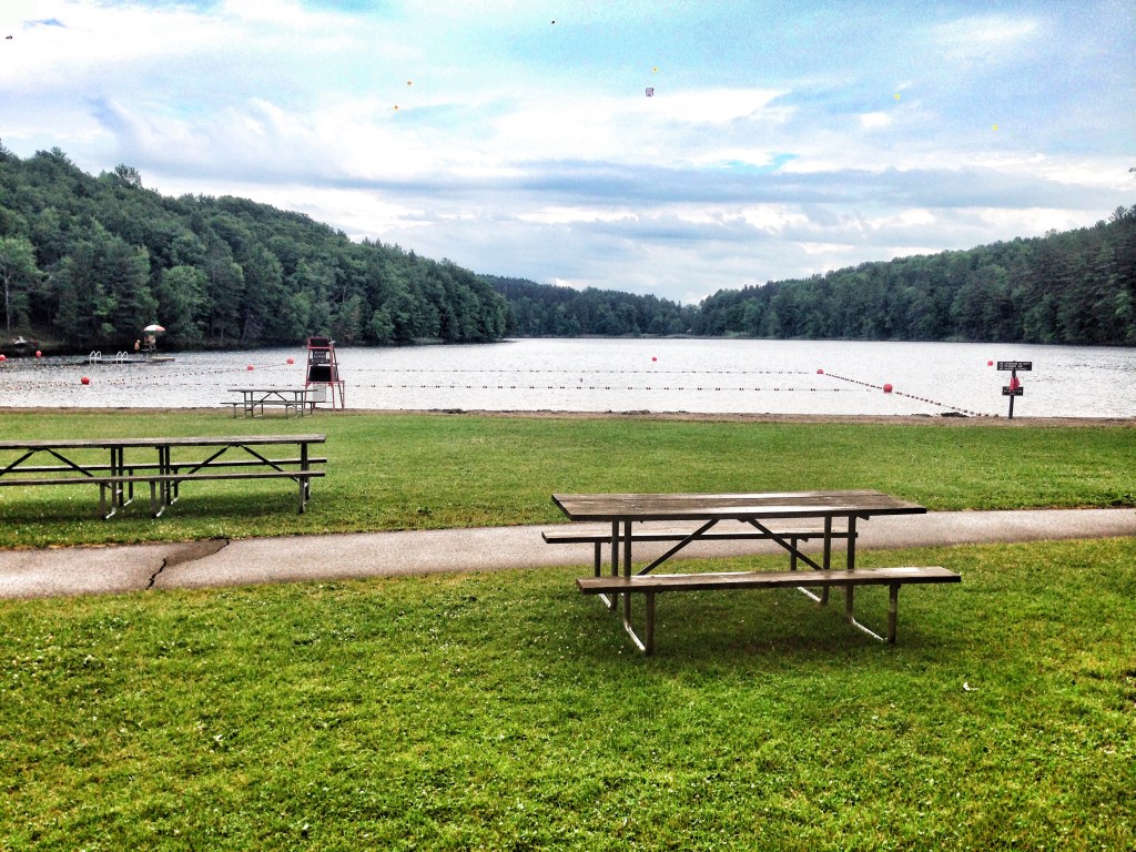 A Look Back: Gilbert Lake 2016 – Happy Herrons